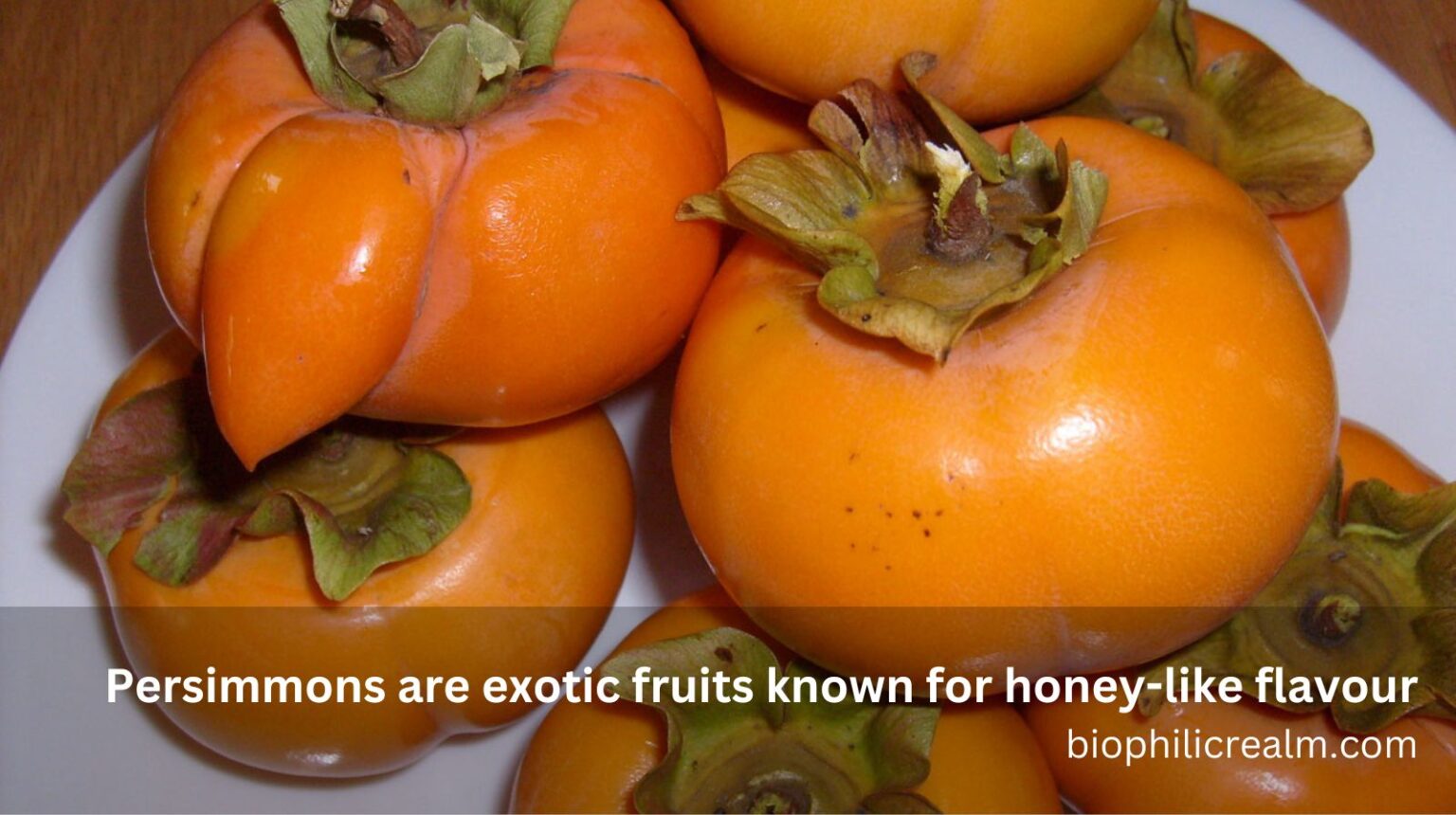 7 Fruits That Resemble Tomatoes: A Visual Guide - biophilicrealm.com