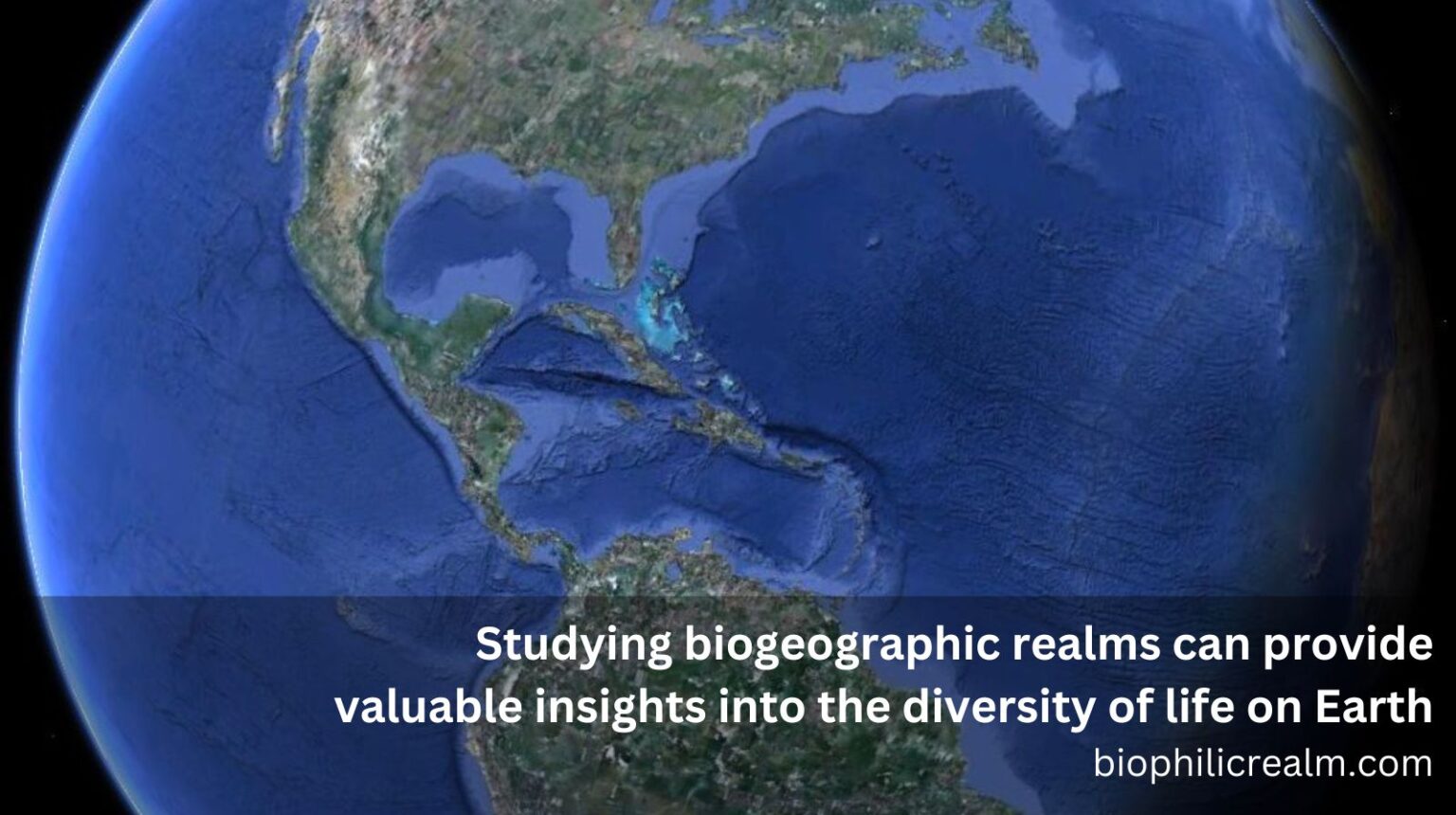 Secrets of Symbiosis in the Rainforest - biophilicrealm.com