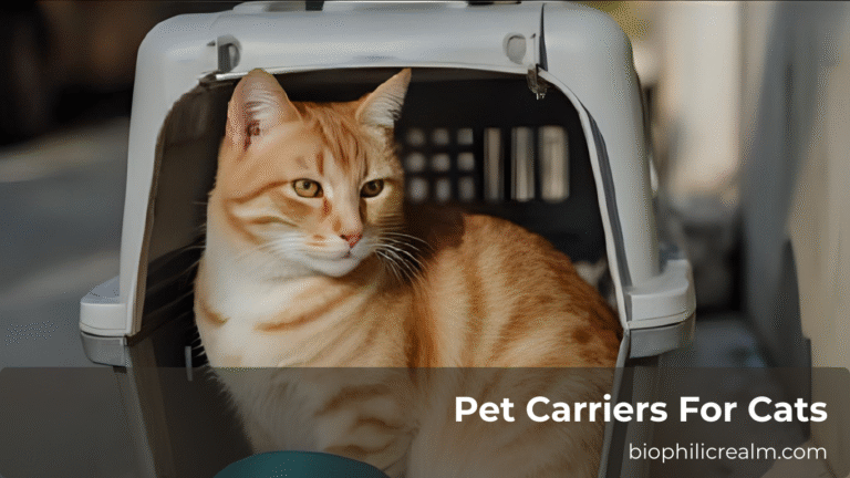 The Life Cycle of a Burmese Python - biophilicrealm.com